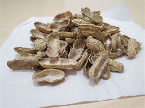 Peanut Shell That Will Become An Art Stock Image Image Of Shell