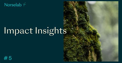 norselab impact insights 5