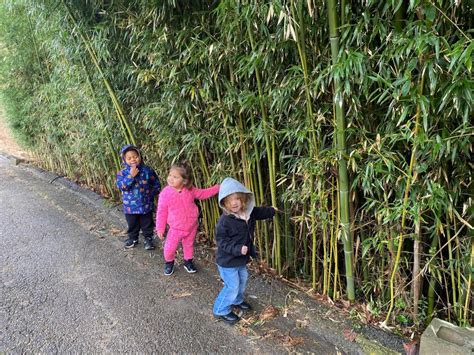 Problem Solving Skills News Northern Panhandle Head Start
