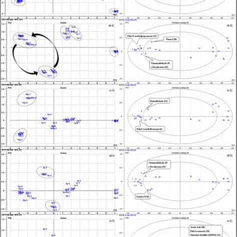 The Principal Components Analysis Pca Scores Plots Left And Download Scientific Diagram