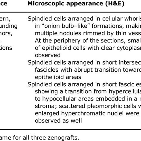 Macroscopic And Microscopic Characteristic Of The Gist Xenografts