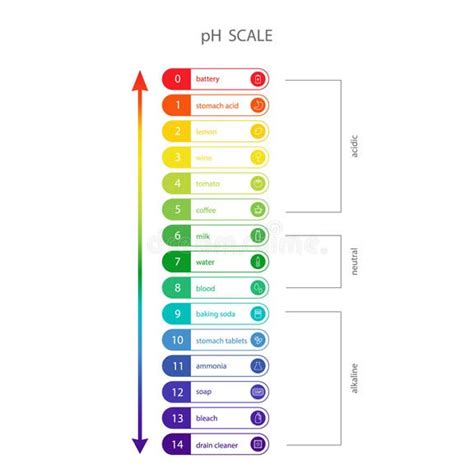 Ph Scale Chart Indicator Of Indications Measurements And Table Of Results Ph Food Analysis Or
