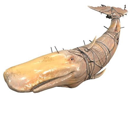 Orange Whale Sperm Whale Moby Dick 3d Turbosquid 2216841