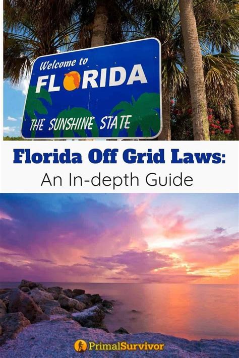 Things To Do In Homestead Florida A First Time Visitor Guide Artofit