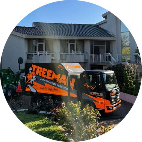 Tree Removal Melbourne Stump Removal Stump Removal Mornington Peninsula