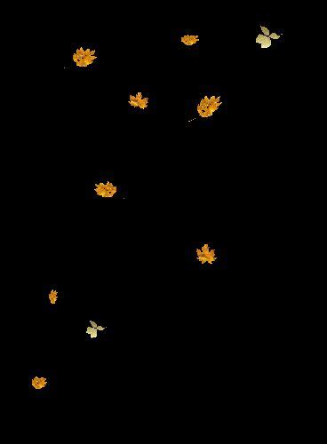 Осенние листья в осень анимация Анимация Обои для телефона Обои
