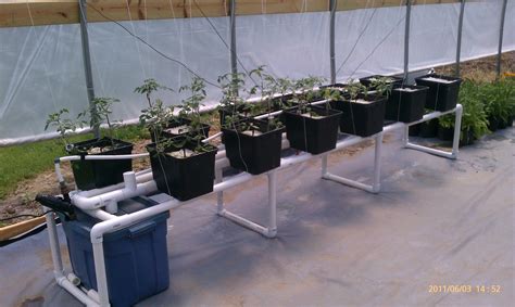 Hydroponic Bucket System Page 10
