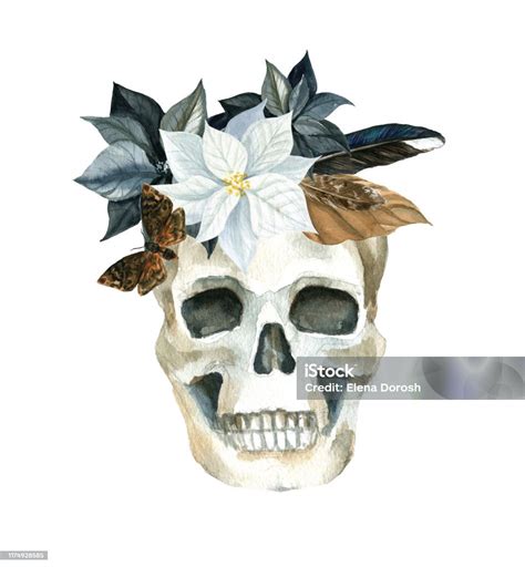 두개골과 꽃 수채화 그림입니다 우울한 일러스트 카드 초대장 할로윈 휴일 등에 적합합니다 수채화에 대한 스톡 벡터 아트 및 기타