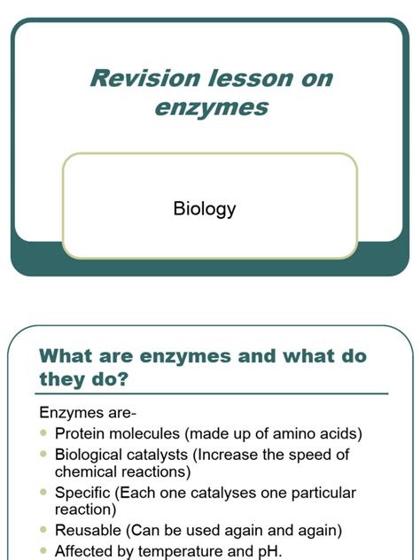 Revision Lesson On Enzymes Download Free Pdf Enzyme Digestion