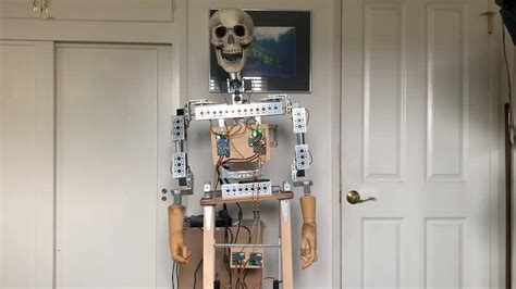 Chuck E Cheese Animatronic Skeleton