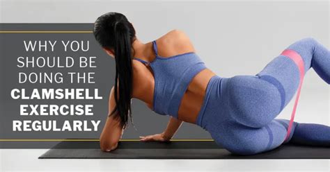 Clamshell Exercise Why You Should Add Clamshell Exercises To Every Clamshell Exercise Why You Should Add Clamshell Exercises To Every