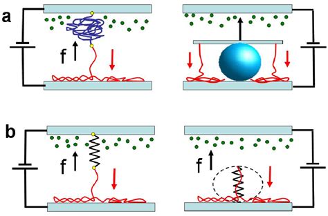 Figure 1 From Field Regulated Force By Grafted Polyelectrolytes Semantic Scholar