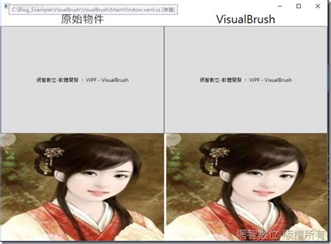 wpf visualbrush 劃刷 功能介紹 ~ 網智數位
