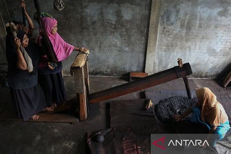 Pengolahan Biji Kopi Robusta Secara Tradisional Antara News