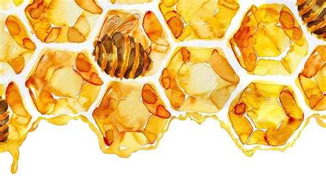 Seamless Background Honeycomb Border Yellow Honeycomb Watercolor Hand