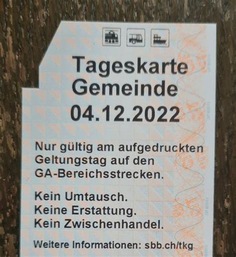 Ga Tageskarte 04122022 Sbb Cff Ffs Ag Comprare Su Ricardo