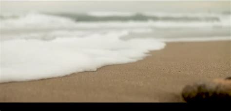 Ethan Solomon Posted On Linkedin