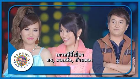คาราโอเกะ เกาหลีขี้เมี่ยง ศร สินชัย ดอกอ้อ ทุ่งทอง ก้านตอง ทุ่งเงิน [ Original Karaoke