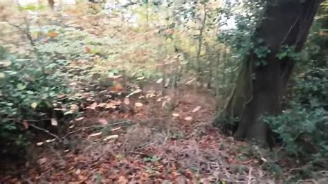 Sex Auf Dem Oeffentlichen Weg Fast Erwischt Eporner