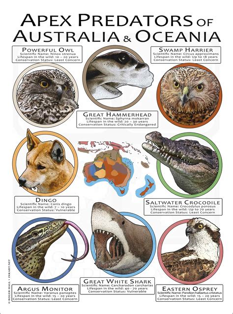 Apex Predators Of Australia And Oceania Poster Print