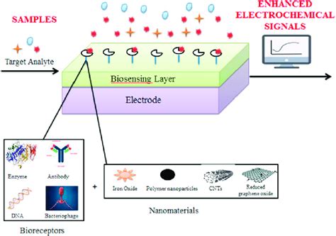Electrochemical Analyte Detection At Marcus Dacomb Blog