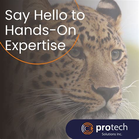 Protech Solutions Inc On Linkedin Handson Agile Clientfocused