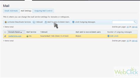 Create A Catchall Email Account Knowledgebase Webclick Hosting