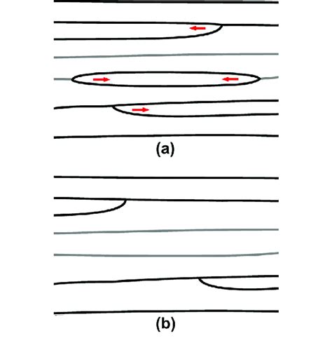 Schematic Showing Coarsening Via Lateral Motion Of Y Type Tjs In A Download Scientific Diagram