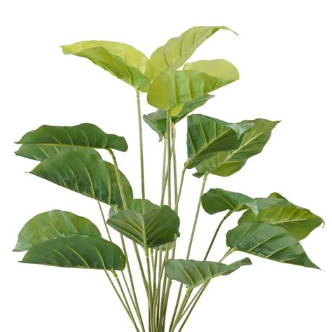 جميع المنتجات زهر