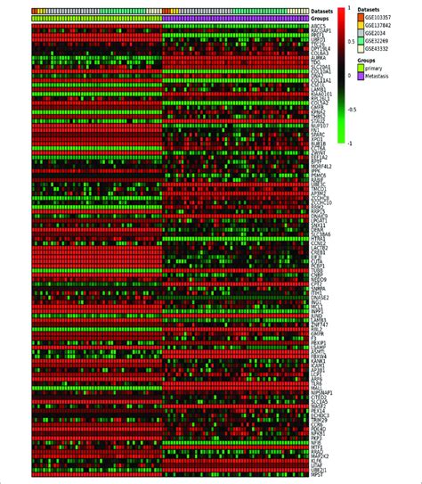 An Imageo Generated Heatmap Of The Top 100 Degs Based On The Five