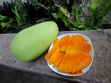 9 New Varieties That Will Strengthen The Philippine Mango Industry