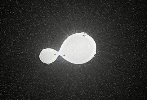 Contact Binary Star Defies Scientists Perceptions