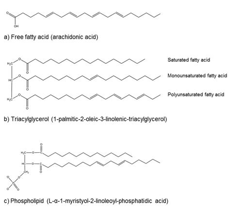 Unsaturated Triglyceride Structure