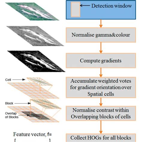 The Flow Chart Of Bag Of Visual Word Bovw Feature Extraction Download Scientific Diagram