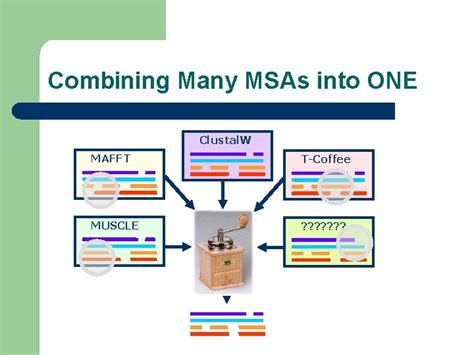 Using The Tcoffee Multiple Sequence Alignment Package I
