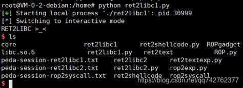 Ret2libc1 （有system、binsh）绕过nx、aslrreturn2libc 可以找到system Csdn博客