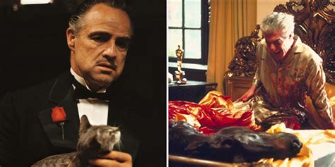 The Godfather Screen Rant