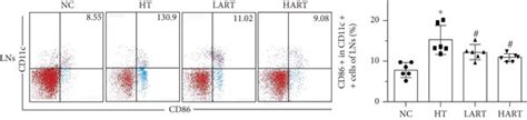 A Flow Cytometric Sorting Of Cd11c And Cd86 Cells In Lymph Nodes Download Scientific