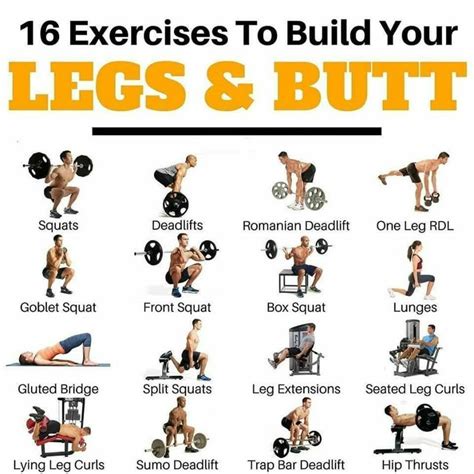 11 Leg Workout Ideas Leg Workout Workout Fitness Body