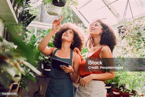 흑인 여성 태블릿 또는 유기농 성장 관리 전자 상거래 꽃 주문 또는 지속 가능성 혁신에서 식물 온실을 가리 킵니다 미소 행복하거나 말하는 꽃집 정원 센터 직원 또는 기술 2