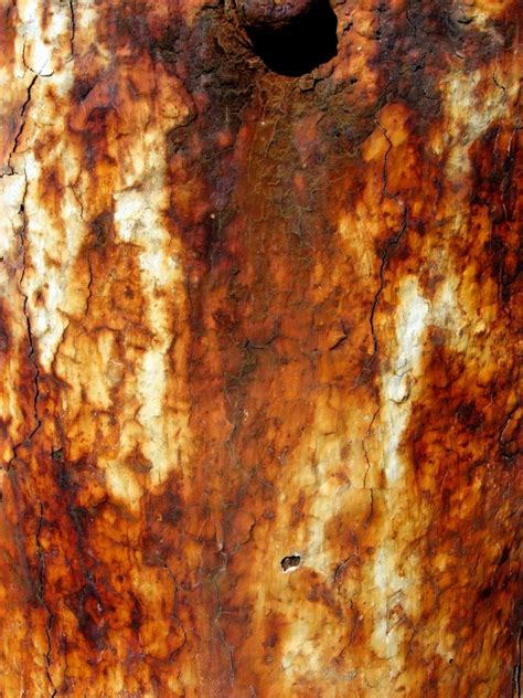 Rust Never Sleeps A Textured Background