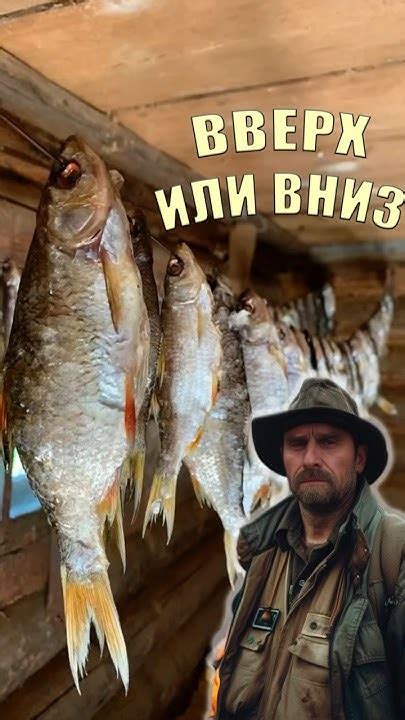 Как правильно сушить рыбу головой вверх или вниз Youtube