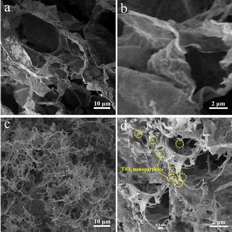 Sem Images A C And The Enlarged Sem Images B D Of Rgo And