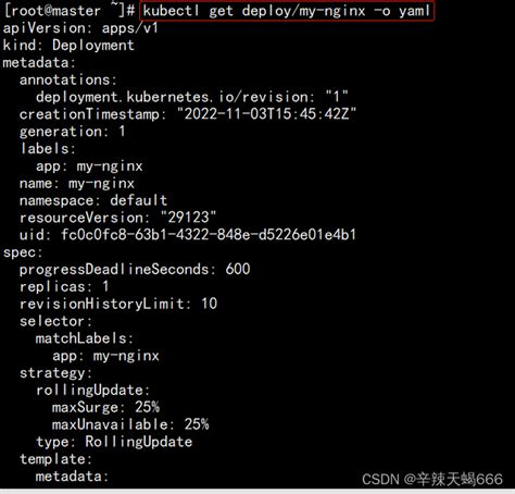云原生之k8s管理工具—kubectl 详解一kubectl Edit Csdn博客