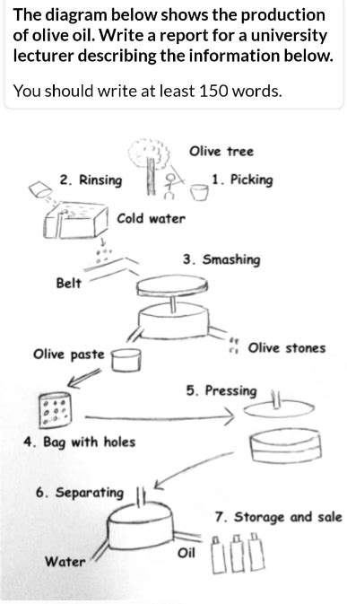 ielts writing task 1 process of olive oil production by alfonsus ganendra medium