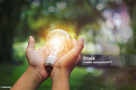 자연에 대 한 전력 및 좋은 에너지를 절약 공원에서 빛 전구를 들고 손 나무에 대한 스톡 사진 및 기타 이미지 나무 발명 밝은 빛 Istock