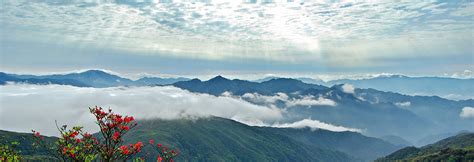 姑婆山
