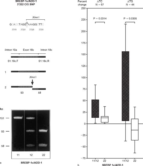 Figure 1 From Research Letters Semantic Scholar