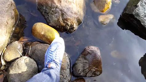 작은 돌 들어내서 물고기 잡기 천렵 족대로 물고기 잡기 물축꾸리 Youtube