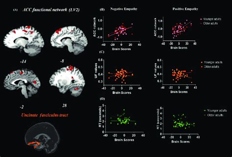 Results From The Structure Function Behavior Analysis Of The Anterior